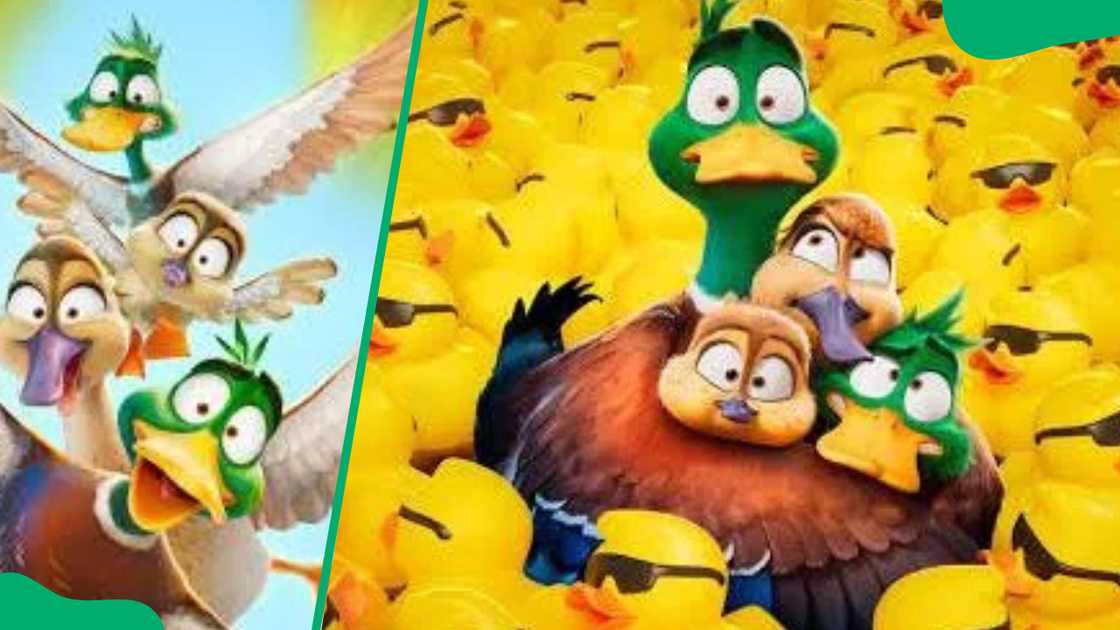 Meet the cast of Migration movie, including Elizabeth Banks as Pam ...