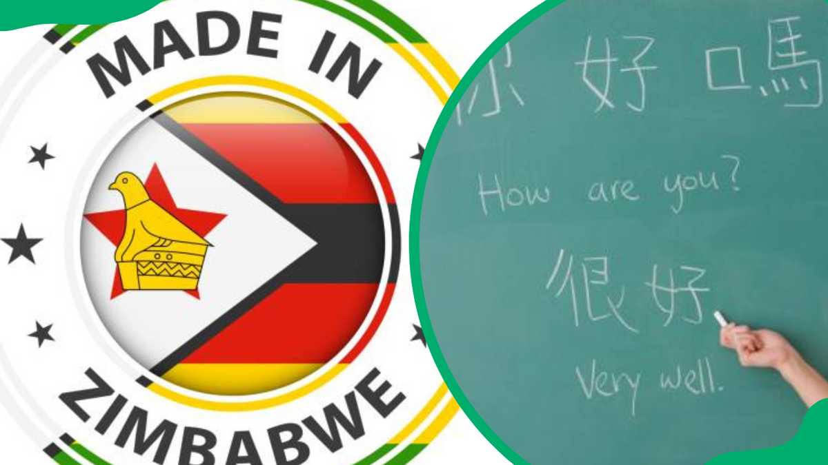 How many languages are spoken in Zimbabwe? Zim's rich linguistic ...