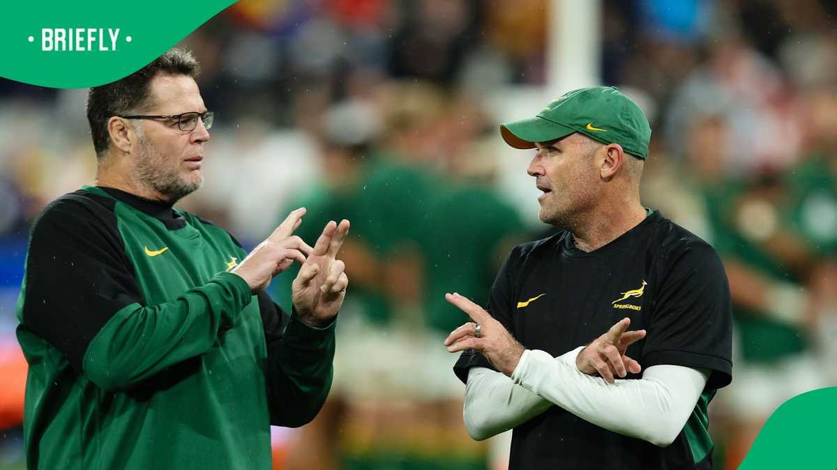 Ex-Ireland Coach Criticises Former Springboks Boss Over ‘Predictable ...