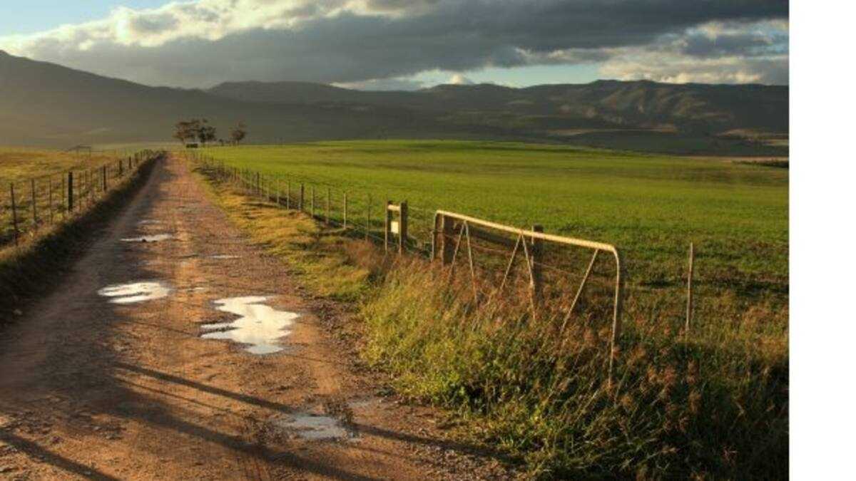 Land expropriation without compensation: advantages and disadvantages ...