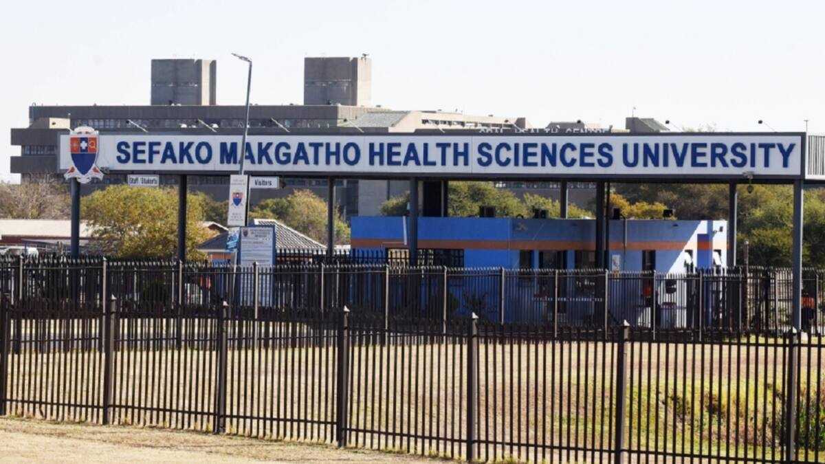 Requirements to study medicine at Medunsa (Sefako Makgatho University ...