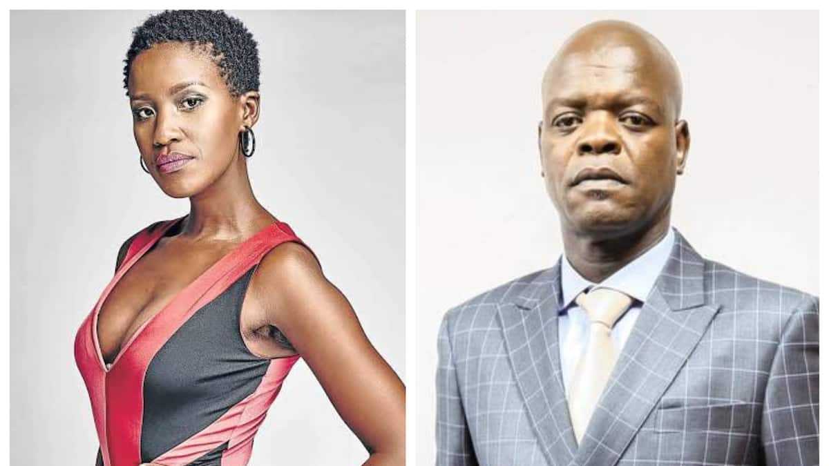 The Republic season 2 actors, trailer, episodes, plot summary, full ...