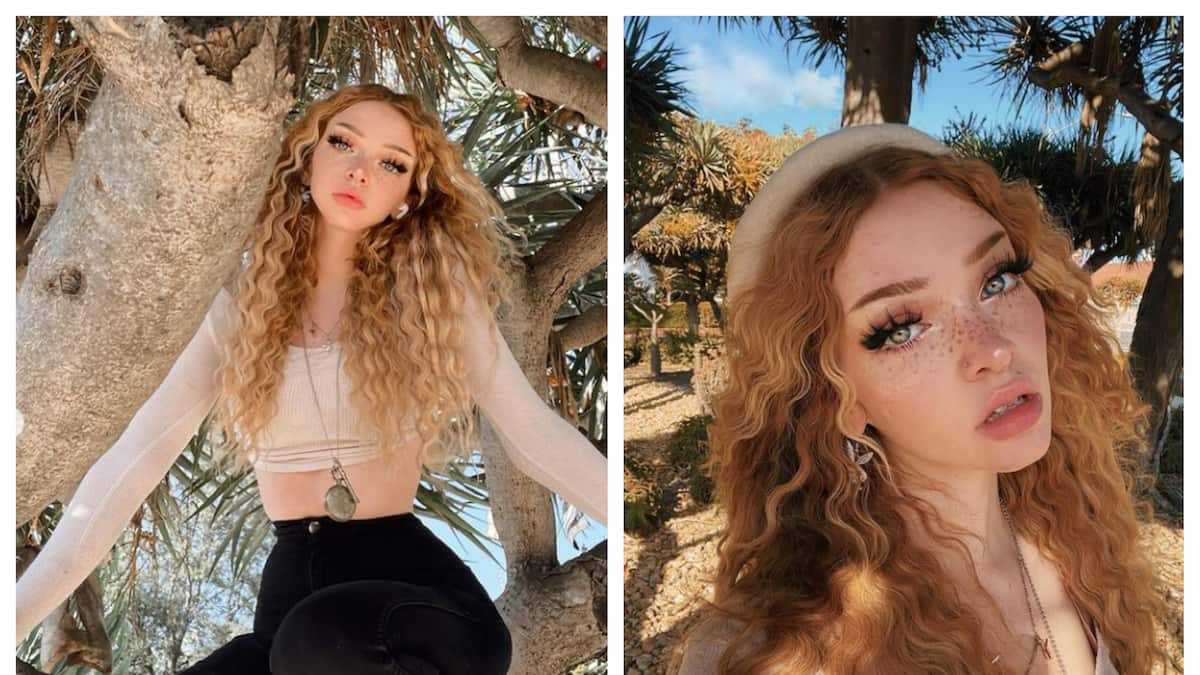 Who is Candy Asmus? Age, height, no make-up, surgery, profiles, net ...