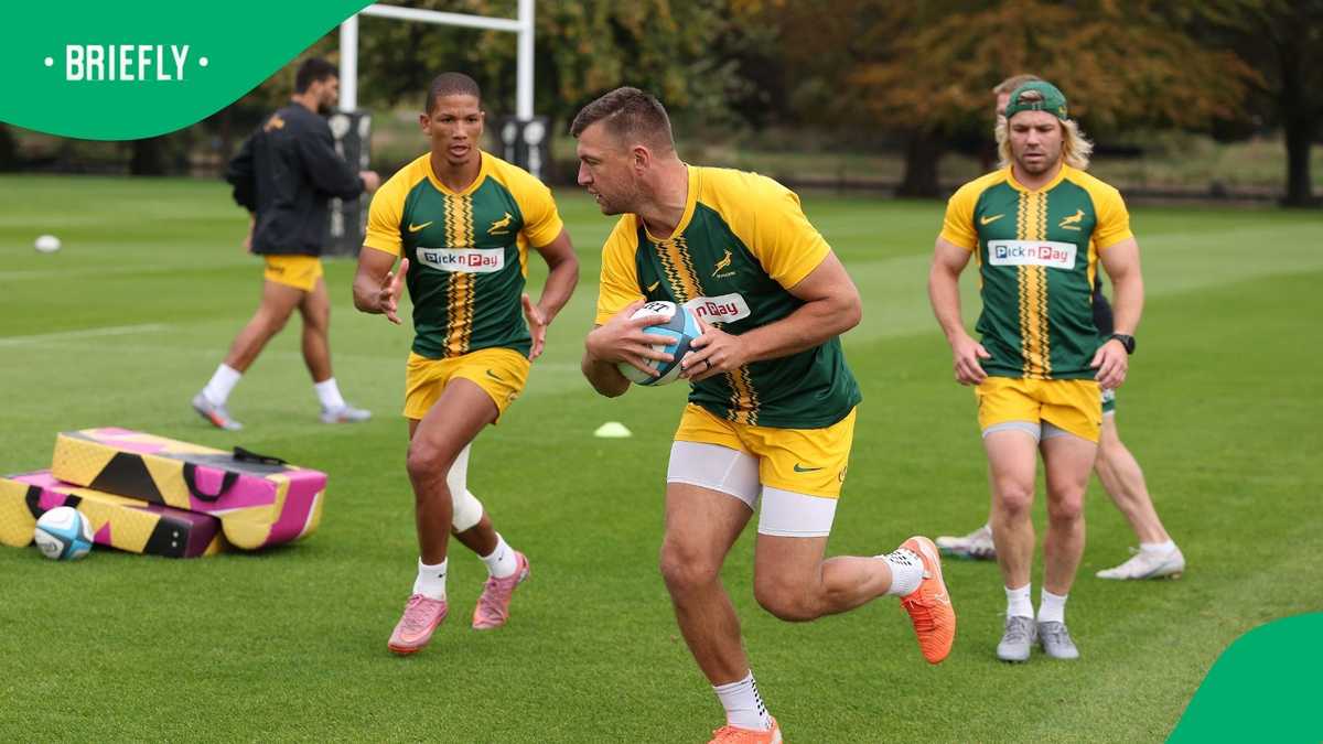 Springboks Flyhalf Depth Gives Rassie Erasmus Options Ahead of New ...