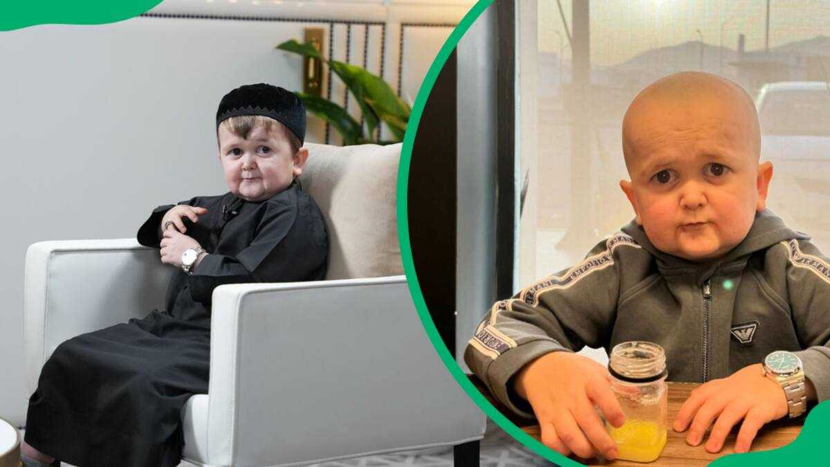 Hasbulla's net worth: A peek at Mini Khabib's fortune - Briefly.co.za