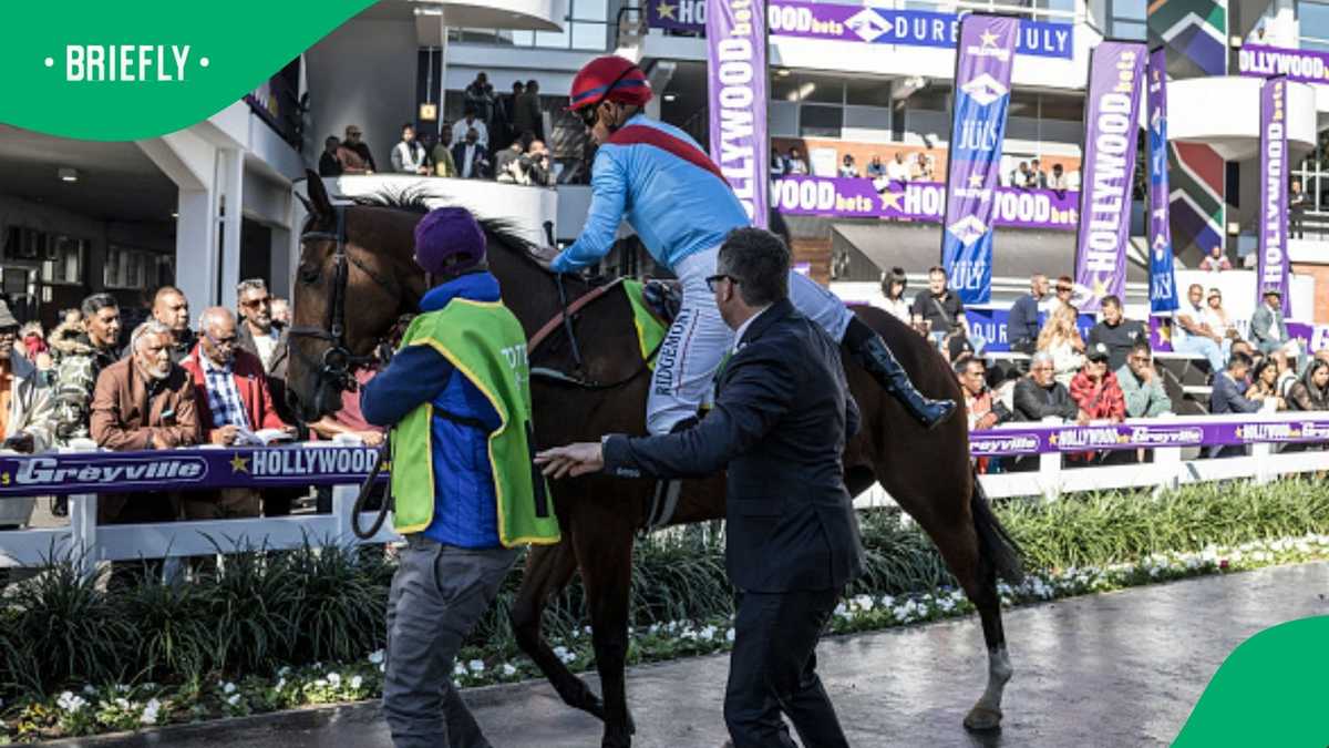 Corruption Scandal Rocks South African Horse Racing After Jockeys Found ...