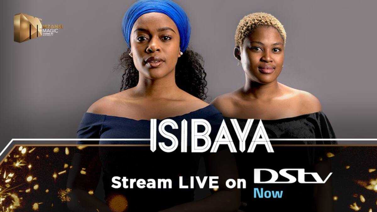 Isibaya Teasers: November 2020 - Briefly.co.za