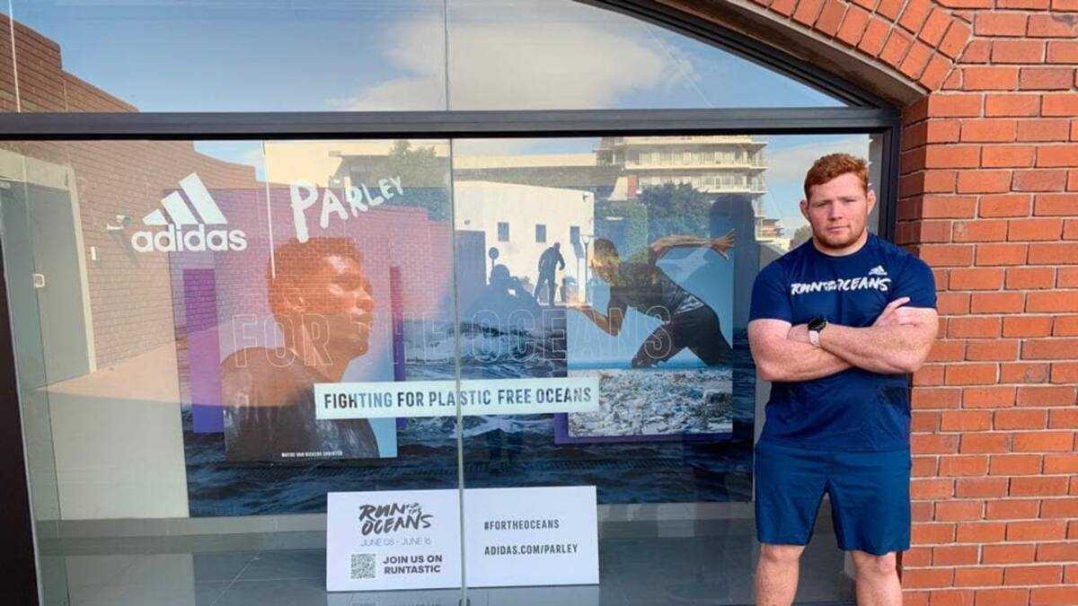 Steven Kitshoff age, measurements, wife, education, current team/club ...