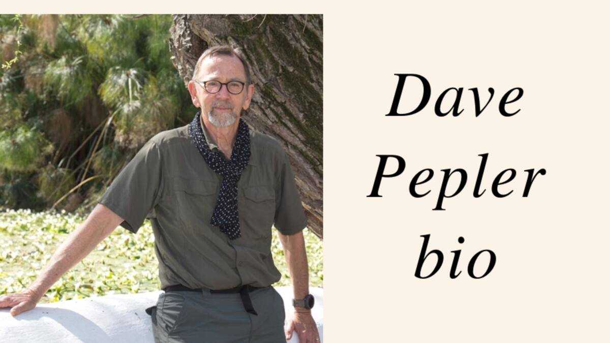 Dave Pepler bio: age, children, wife, wedding, tours, email, profile ...
