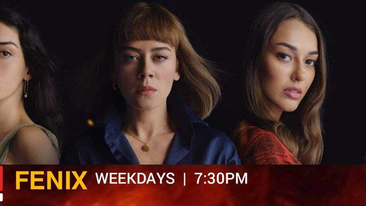 eExtra's Fenix series: Cast, plot summary, full story, episodes ...