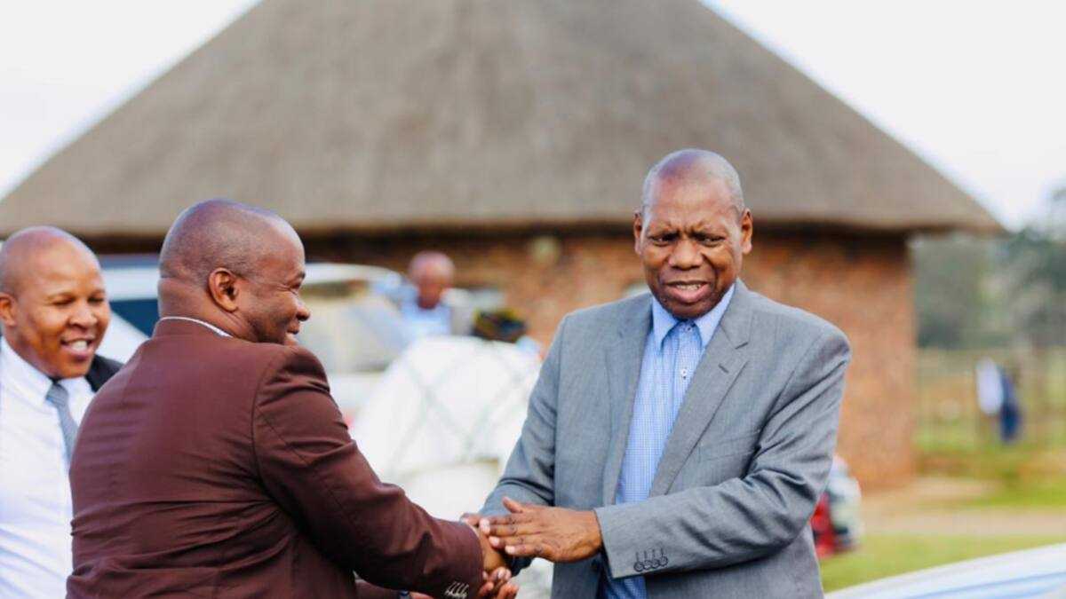 Zweli Mkhize age, children, wife, health, education, party, current ...