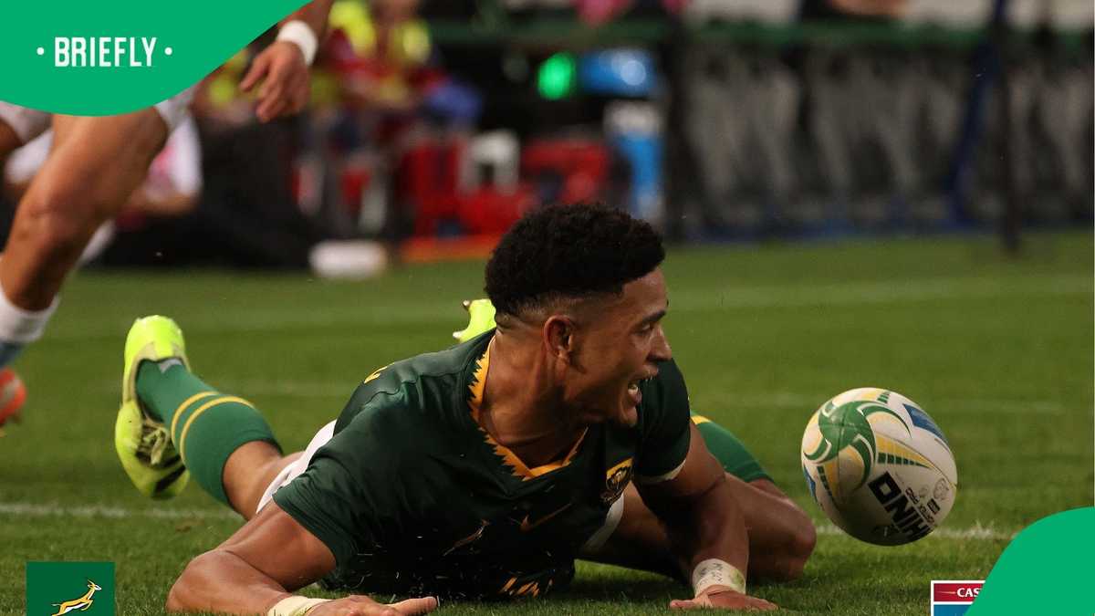 Sacha Feinberg-Mngomezulu’s Father Responds After Troll Questions Son’s ...