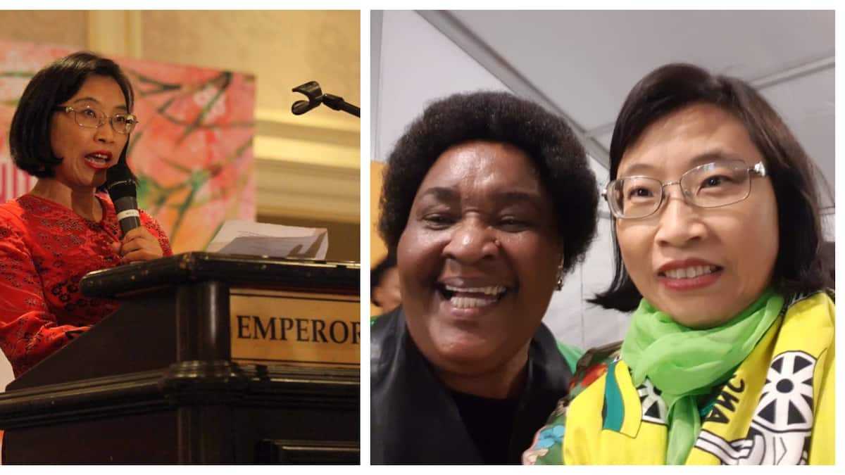 Xiaomei Havard's bio: Meet the South African, Chinese MP and member of ...