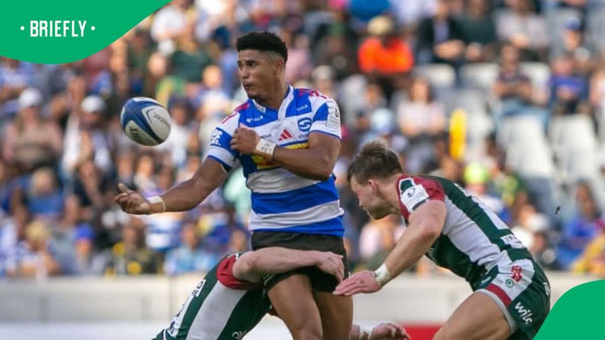 Springboks and DHL Stormers Star Sacha Feinberg-Mngomezulu Struggles ...