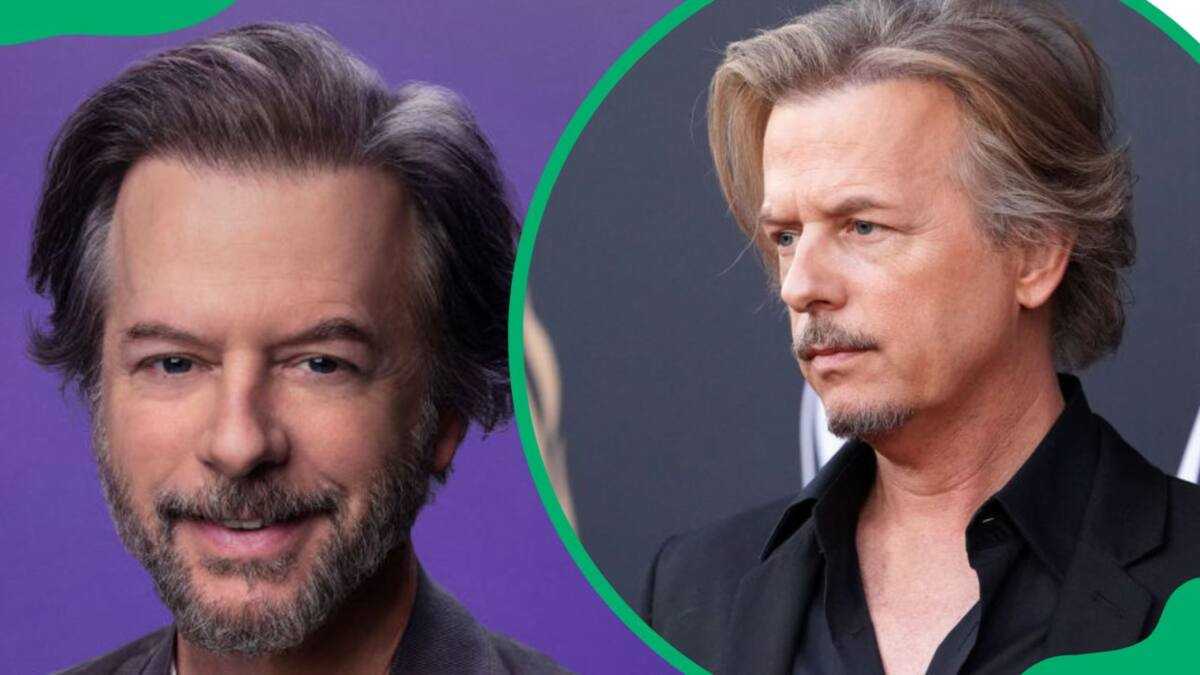 Who is David Spade's wife? Everything about his dating life - Briefly.co.za