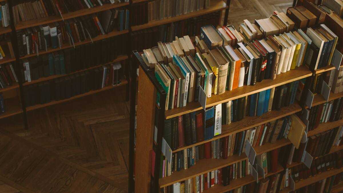 Majuba College application, deadlines, courses, and fees - Briefly.co.za