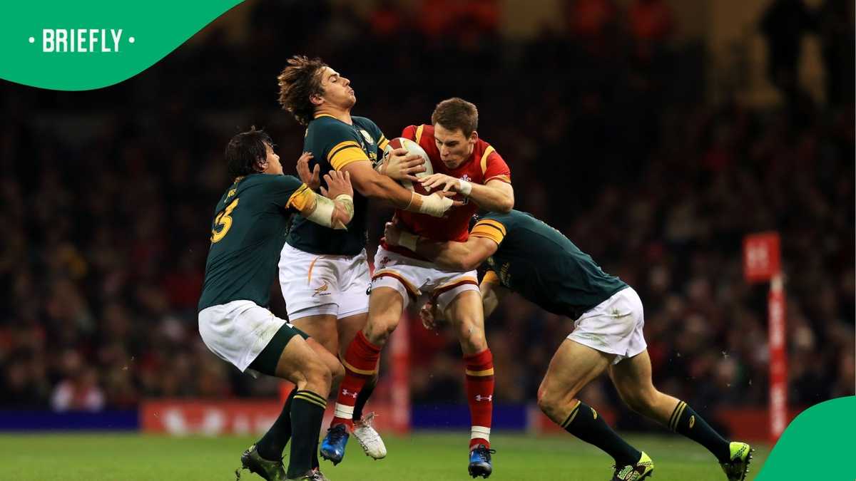 Veteran Former Springbok Playmaker at Bulls Reportedly Set to Retire ...