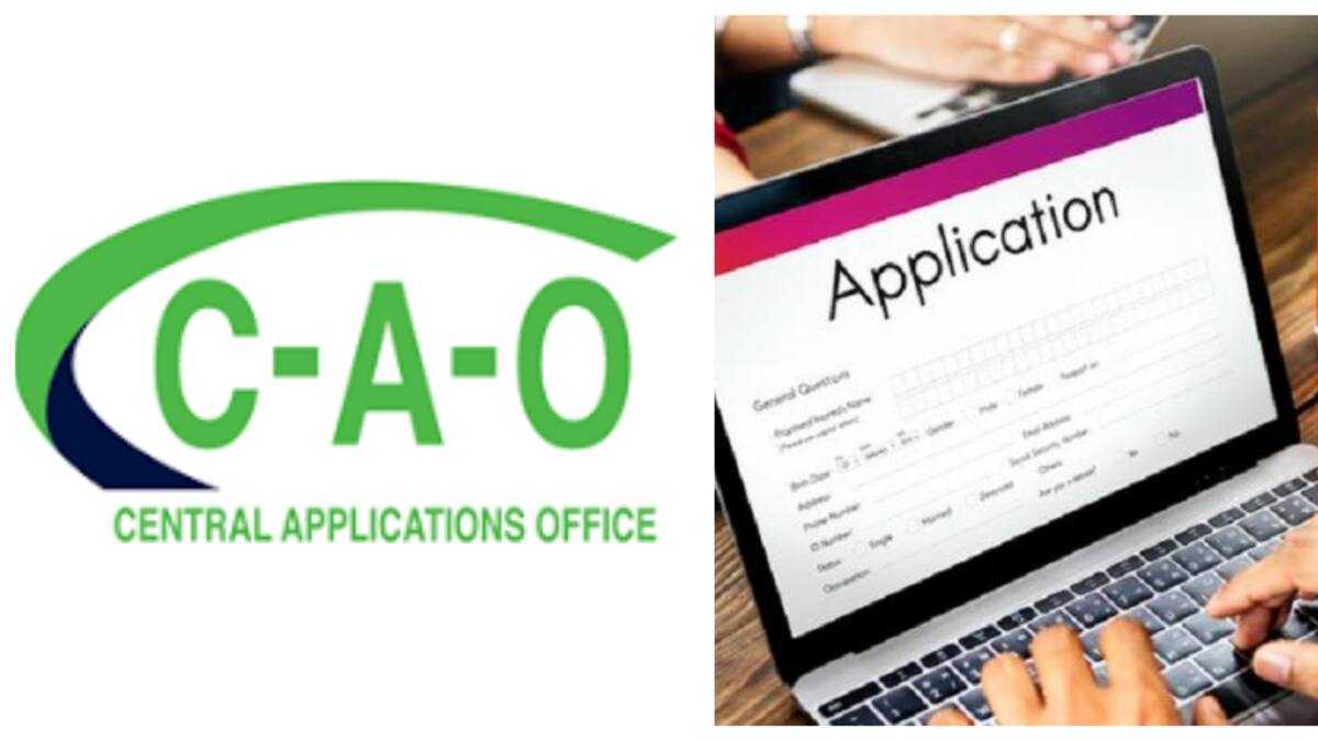 CAO online application process, dates, and requirements - Briefly.co.za