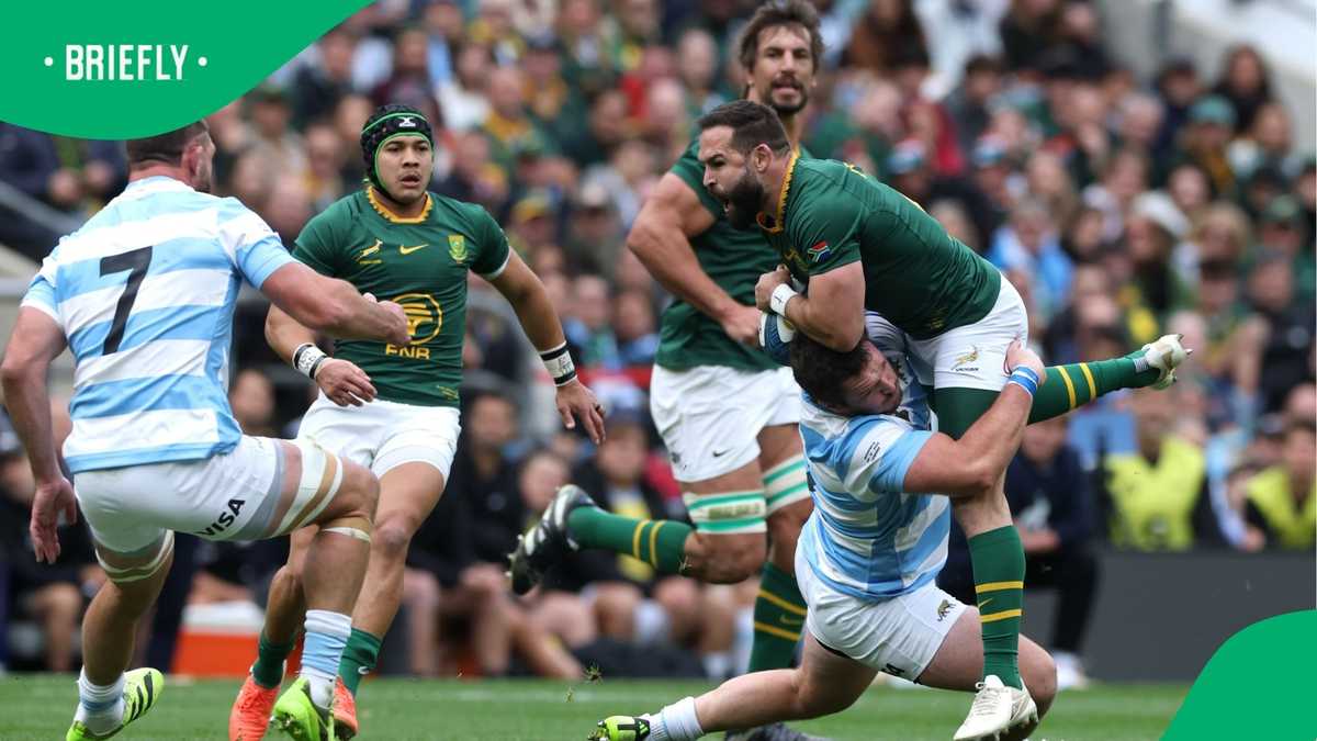 Former Springboks Coach Jake White Speaks on the Rugby Championship ...