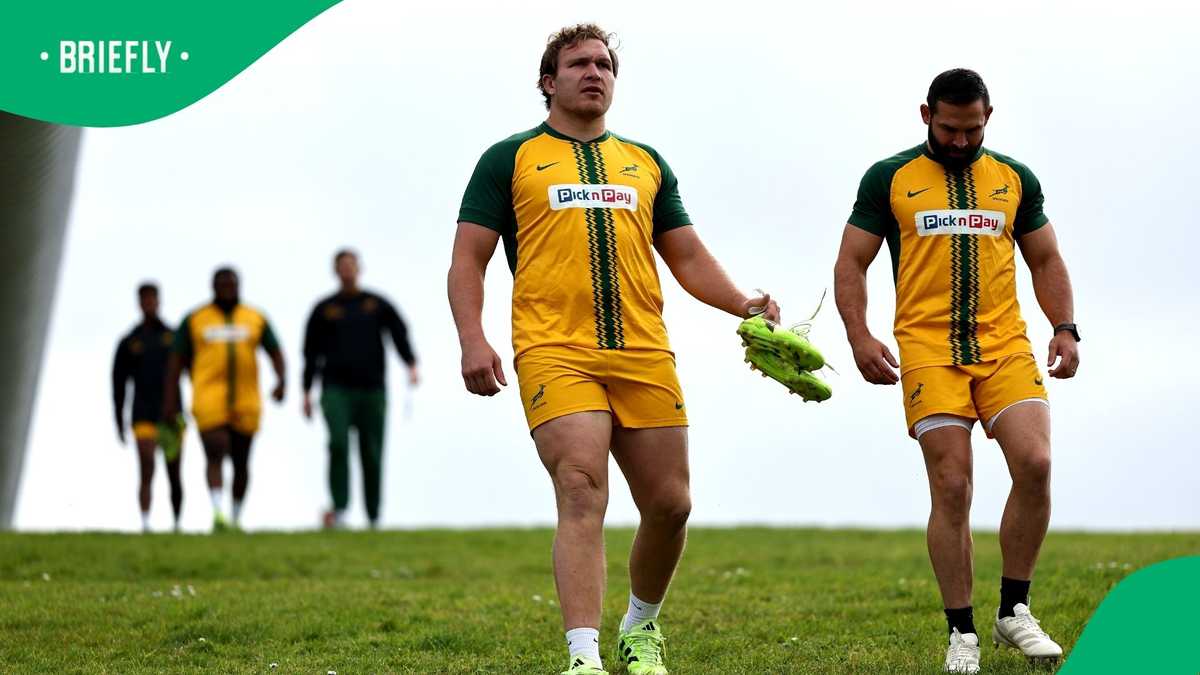 Wessels’ Suspension Cut: Bulls Forward to Miss Key Springbok Matches ...