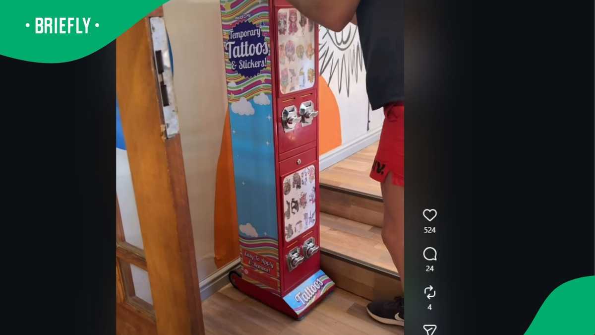 “Oh God”: Stellenbosch Snake Handler Catches Deadly Cape Cobra in Kids ...