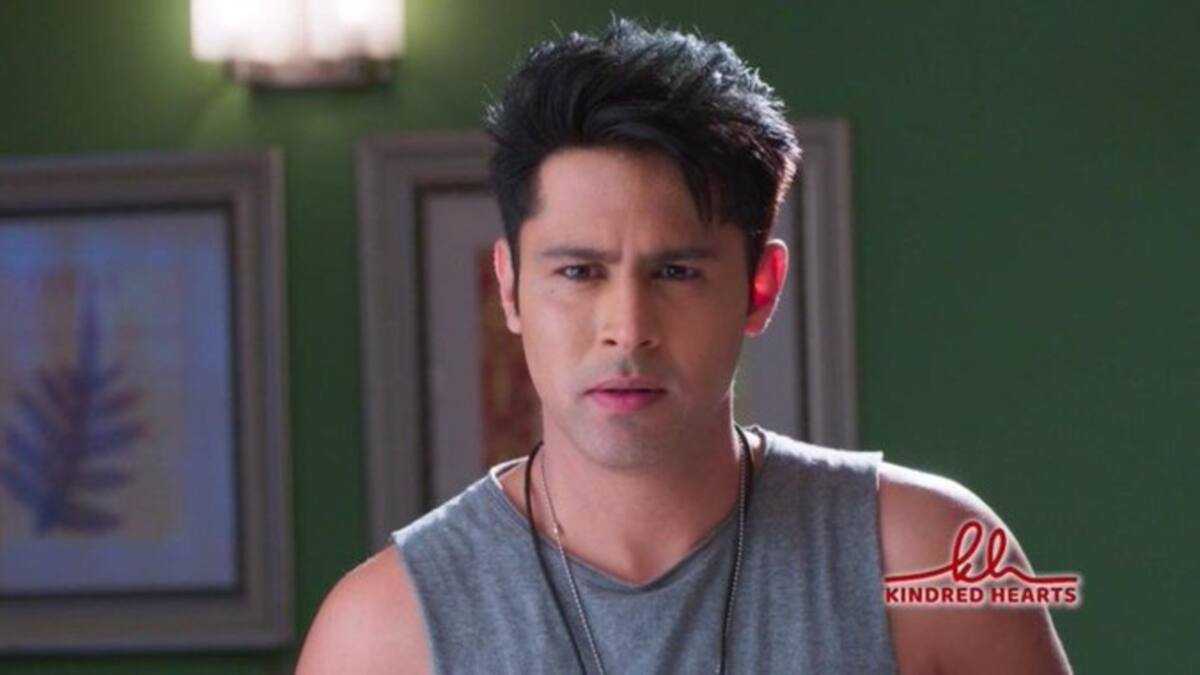 Kindred Hearts Zee World cast, plot summary, full story, final episode ...