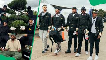 Who are the Beta Squad members? Names, profiles, and fun facts ...