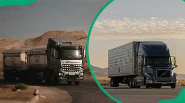 How to download the medical form for PDP and more (2024) - Briefly.co.za