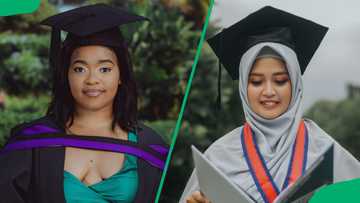 All UNISA qualifications and modules: a comprehensive guide - Briefly.co.za