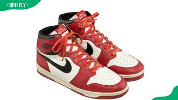 11 most expensive Jordans ever sold: Record-breaking sneakers - Briefly ...