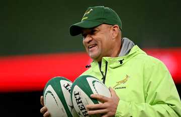 Deon Davids: who is the assistant coach of the Springboks? - Briefly.co.za