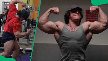 Sam Sulek: Age, height, weight, biography, family background - Briefly ...