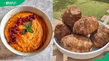 Top 17 best Zulu traditional foods: meals and drinks with pictures ...