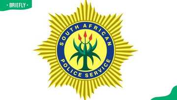 Metro Police application forms 2024: All you need to apply - Briefly.co.za