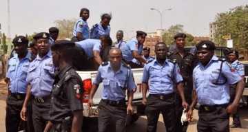 Top 10 best police forces in Africa - Briefly.co.za