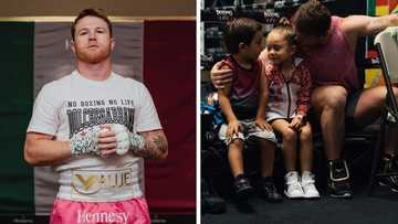 Who are Canelo Álvarez's children and where are they today? - Briefly.co.za