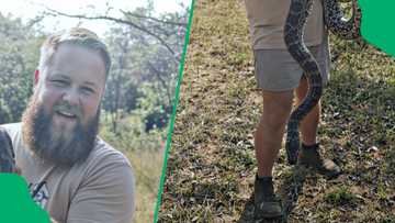 "Left me on edge": Snake Handle Faces Python Attack During Wild ...