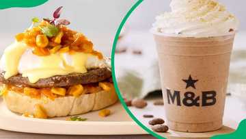 Mugg & Bean menu and prices in South Africa (2024) - Briefly.co.za