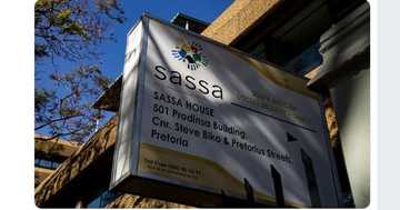SASSA branches, contact details and office hours (detailed guide ...
