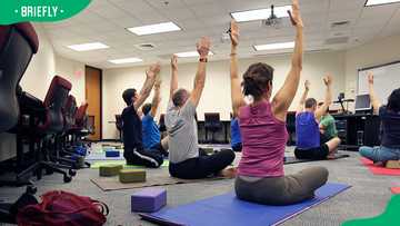 35 fun group activities for adults: Exciting ideas for 2024 - Briefly.co.za