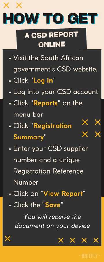 How to get a CSD report in 2024? Read this step-by-step guide - Briefly ...