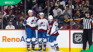 What is offside in hockey? A simple guide to understand rules - Briefly ...