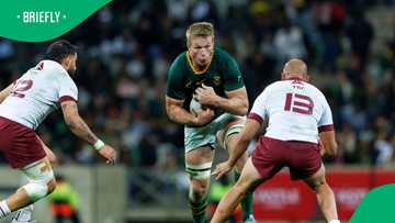 Springboks Begin Preparations for Crucial Rugby Championship Clash ...