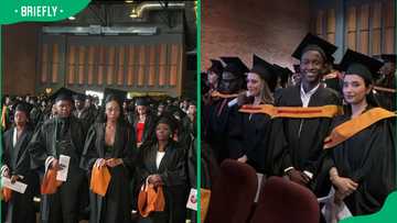 Boston College courses and fees in 2025: Get the full list - Briefly.co.za