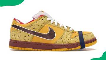 Top 10 most expensive Nike Dunks ever sold: resale prices revealed ...