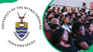 Wits online application, courses, and closing dates for 2025/2026 ...