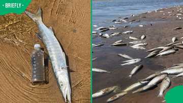 “The River Mouth Blew Open”: Popular KZN Fishing Spot Turns Grim After ...