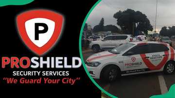 Top 40 security companies in South Africa in 2024: services and ...