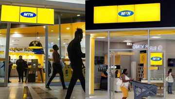 MTN track my application process and more: Everything to know about MTN ...