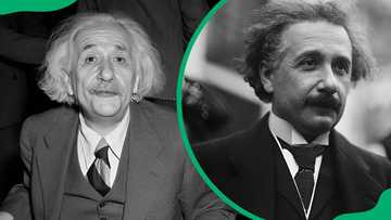What was Einstein’s IQ? Find out how smart he really was - Briefly.co.za